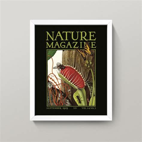 Venus Flytrap Print Vintage Venus Flytrap Poster 4 Sizes Etsy Fine