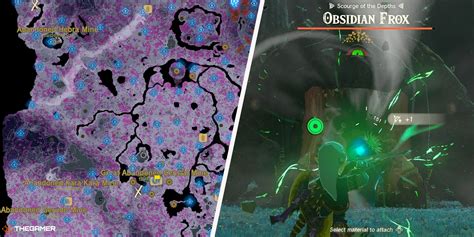 Every Froxs Location And How To Beat Them In The Legend Of Zelda