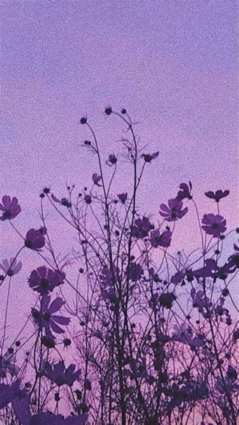 Haut 100 Images Fond Décran Violet Aesthetic Vn