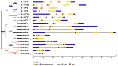 Genome Wide Identification Of Growth Regulating Factors In Moso Bamboo