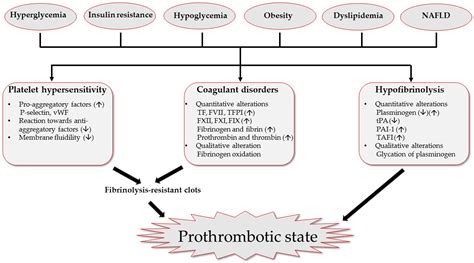 Hyperglycemia Diabetes Mellitus The Best Porn Website