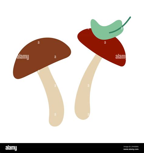 Vector Cute Mushrooms Autumn Flat Style Plant Funny Toadstool
