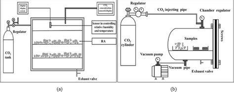 Schematic Representation Of Co2 Equipment A Standard B Pressurized Download Scientific