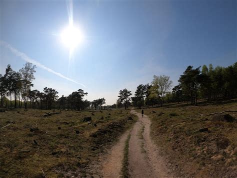 Workshop Bootcamp Trail Trailrunning