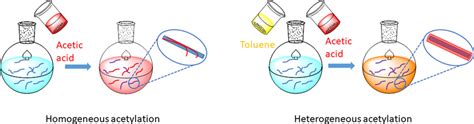 Illustration Of The Homogeneous Acetylation Process Left And