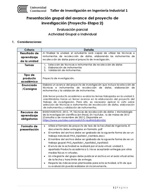 Presentación Del Avance Del Proyecto De Investigación Proyecto E3