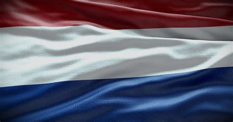 Premium Photo Netherlands National Flag Background Illustration