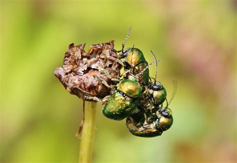 Group Sex Canon Eos 5ds R Tamron 28 300mm F 3 5 6 3 Di Vc … Flickr
