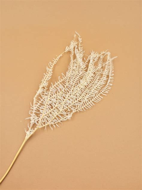 PaproĆ Parasolowa W Kolorze BiaŁym