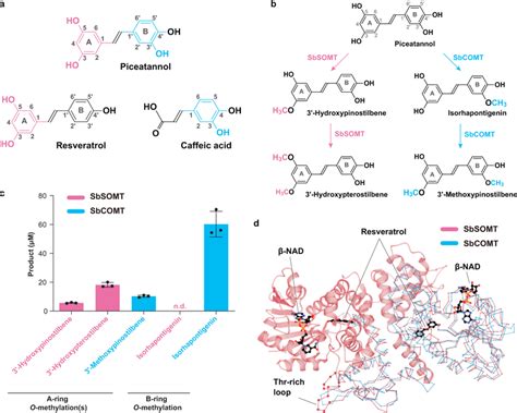 Regioselective O Methylation Of Piceatannol And Three Dimensional