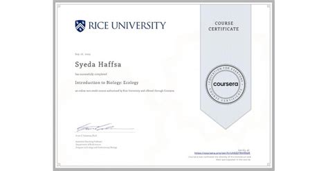 syeda haffsa on linkedin completion certificate for introduction to
