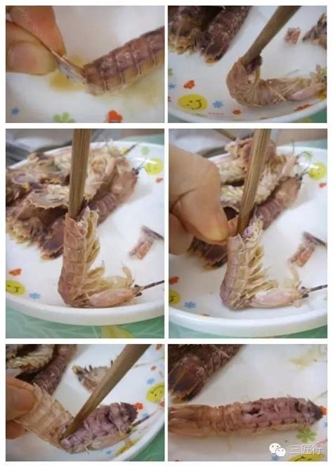 怎麼挑怎麼做怎麼剝關於皮皮蝦的一切都在這裡了 每日頭條