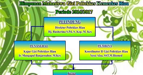 Himpunan Mahasiswa Gizi Poltekkes Kemenkes Riau Struktur Organisasi Himpunan Mahasiswa Gizi