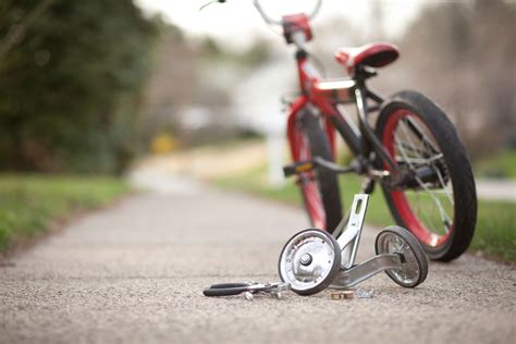 Putting On Our Wisdom Training Wheels Salt Sparrow