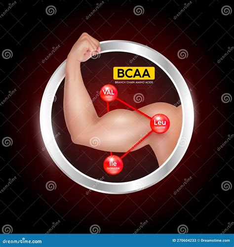 Chain Of Amino Acid Or Bio Molecules Called Protein Stock Illustration