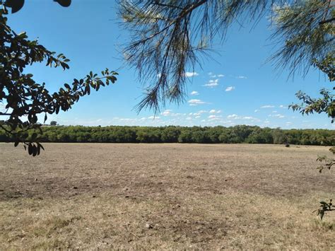 Best Cropping Farmland In Uruguay 377 Hectares Rio Negro