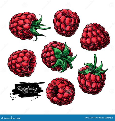 Raspberry Drawing