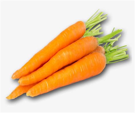 Carrot Png Pic Object With Color Orange 800x800 Png Download Pngkit