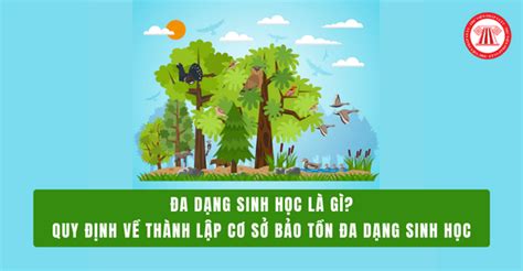 Đa Dạng Sinh Học Là Gì Quy định Về Thành Lập Cơ Sở Bảo Tồn đa Dạng