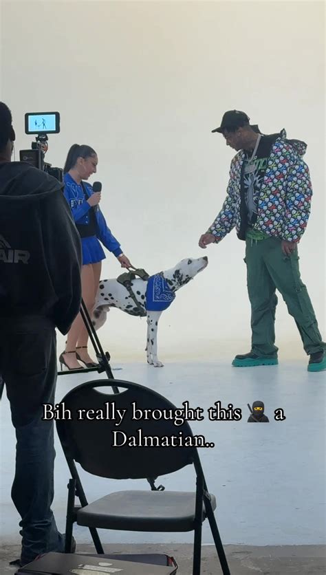 Chick Brings A Dalmatian A Down Bad Moment Tiktok