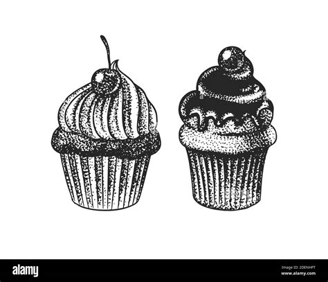 Chocolate Cupcake With Cherries Hand Drawn Bakery Product Celebratory Sweet Food Vintage