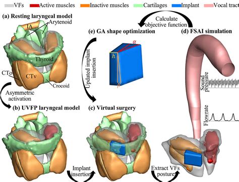 Overview Of The Optimization Framework Download Scientific Diagram