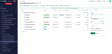 Types Of Custom Fields In Wrike Wrike Help Center