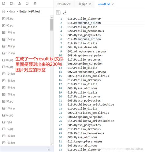 如何利用resnet进行预训练mob6454cc6aab12的技术博客51cto博客