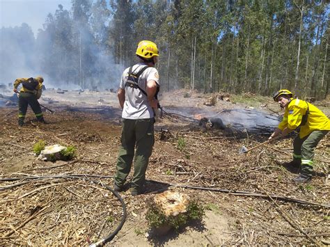 Prohíben Las Quemas En Todo El Territorio Provincial Paralelo32