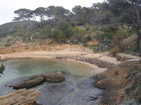 la plage des Grottes le 22 décembre 2008 île du levant domaine