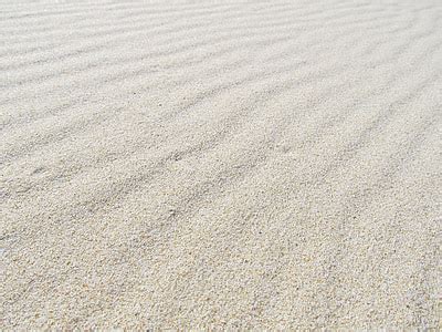 Free Photo Background Texture Sand Beige Desert Dune Hippopx