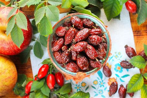 Как сушить шиповник в духовке рецепт с фото пошагово - 1000.menu