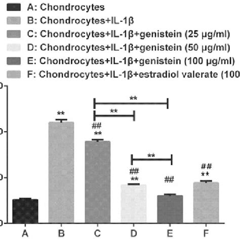 Immunohistochemical Identification Of Collagen Ii In Human