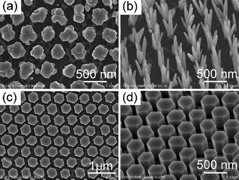 Patterned Growth Of Zno Nanostructures By Using The Isam Mask The Download Scientific Diagram