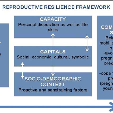 Reproductive Resilience Framework Modified Multi Layered Social Download Scientific Diagram