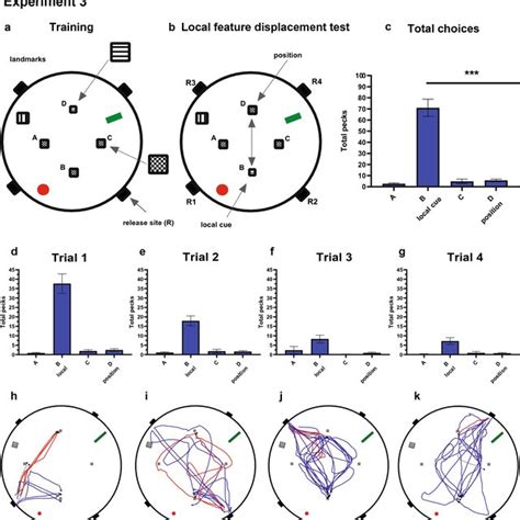 Use Of Spatial Vs Local Cues In Binocular Chicks Experiments 3 A Download Scientific