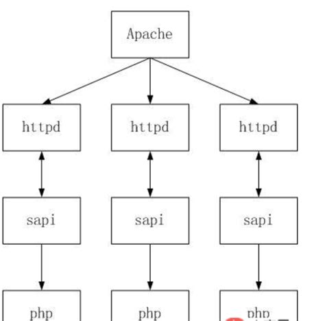 Nginxfastcgiphpfpmnginx Php Fastcgi Csdn博客