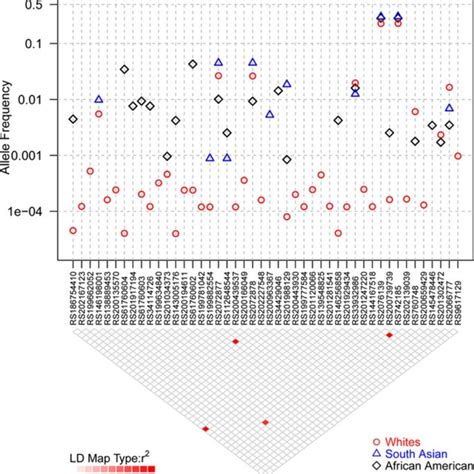 Mapk14 Gene Region The Location Of The 2 Rare Coding Variants Is Shown Download Scientific