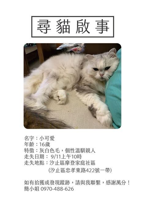 煩請住汐止的如有看到貓咪的幫忙留意一下，最近走失的 寵物板 Dcard