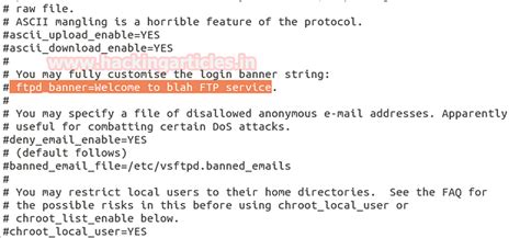 Penetration Testing Of An Ftp Server By Shahmeer Amir Shahmeer Amir
