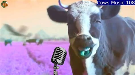 Funny Cow Dance 108 Cow Song With Funny Cows Funny Cow Youtube