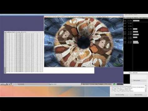 Qemu Virgl Virtual Virtio Gpu On Radeonsi Youtube
