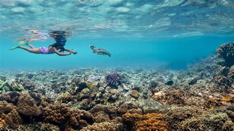 Fijis Best Islands To Hit Up Next Time Youre Seeking A Tropical