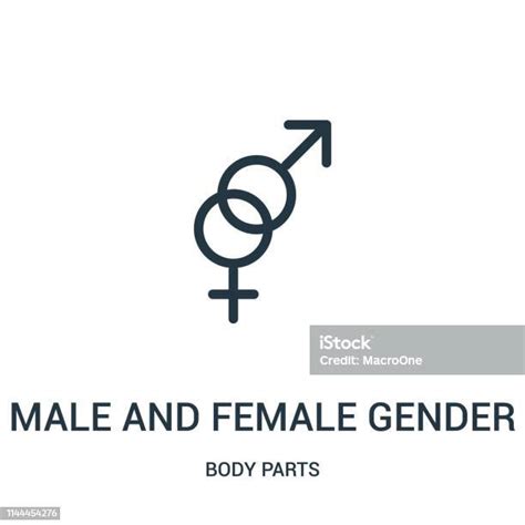신체 부위 컬렉션에서 남성과 여성의 성별 기호 아이콘 벡터 얇은 라인 남성과 여성의 성별 기호 개요 아이콘 벡터 일러스트 레이 션 0명에 대한 스톡 벡터 아트 및 기타