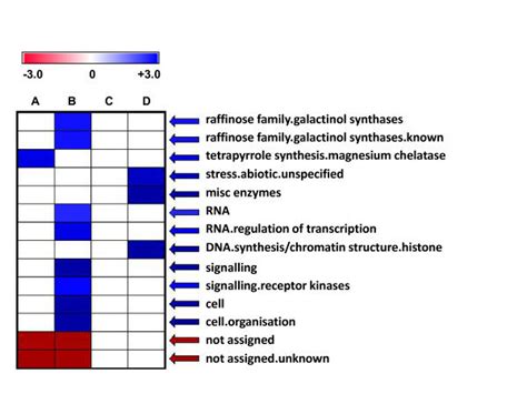 Over Representation Analysis Of Gene Functional Classes That Are