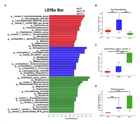 The Differentially Abundant Taxa Among The Three Groups By Lefse