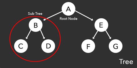 Exploring Graph Search The Idea Behind Attending A Bootcamp By
