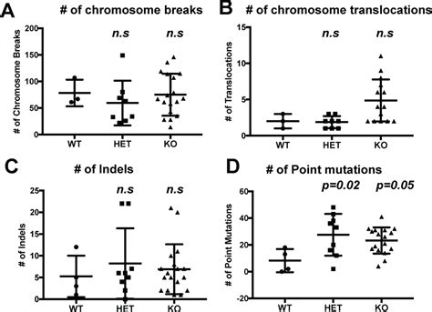 The Inpp4b Tumor Suppressor Modulates Egfr Trafficking And Promotes