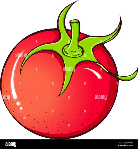 Whole Tomato Color Stock Vector Image And Art Alamy