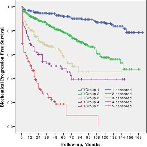Clinical Progression Free Survival After Radical Prostatectomy